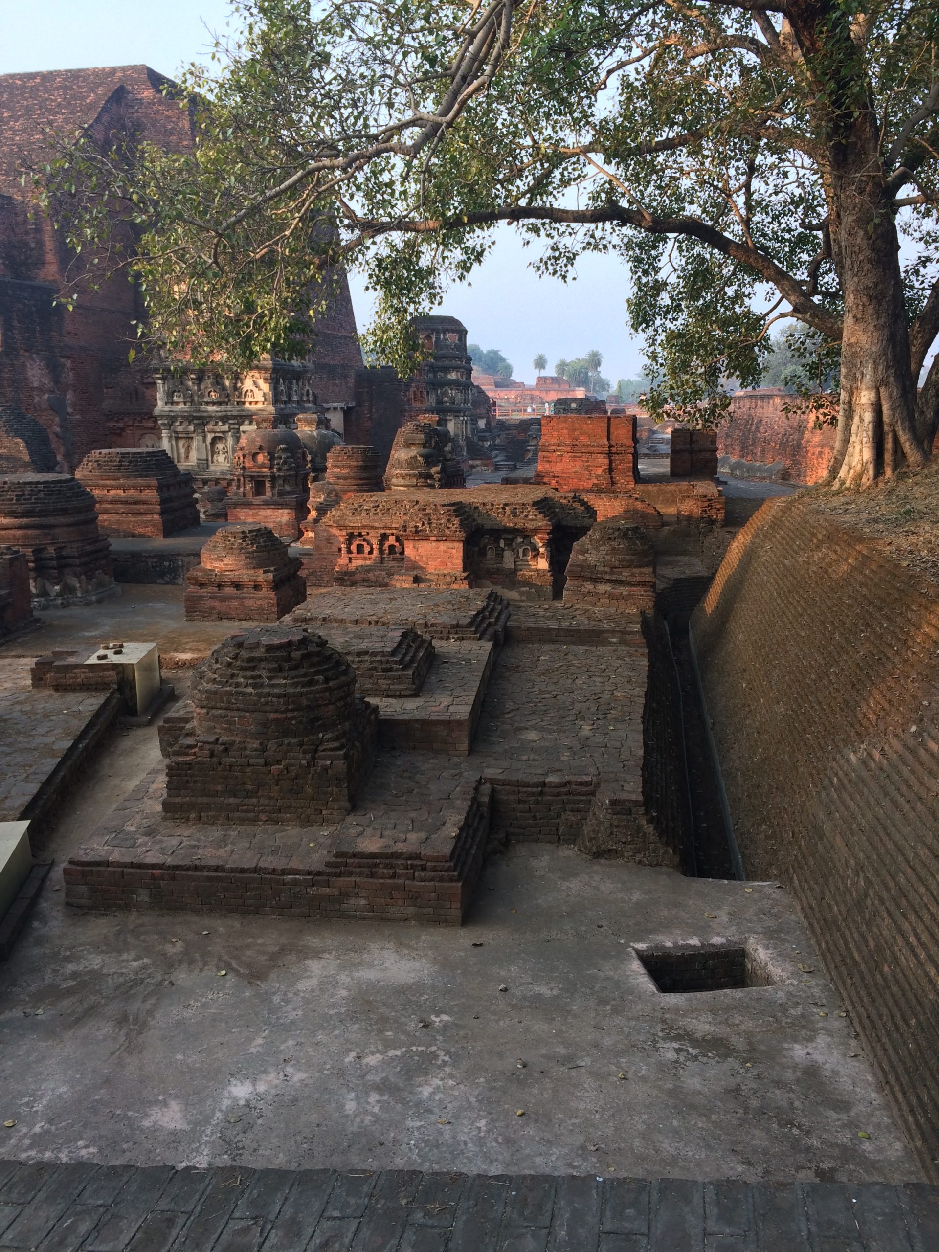 Why was India’s greatest ruler & the destruction of the great library ...